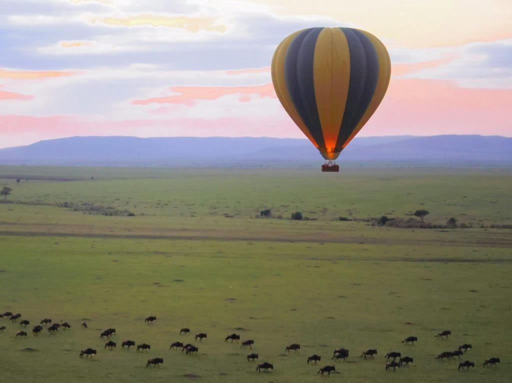 Sky Queen Safaris - Hot Air Balloon Safari